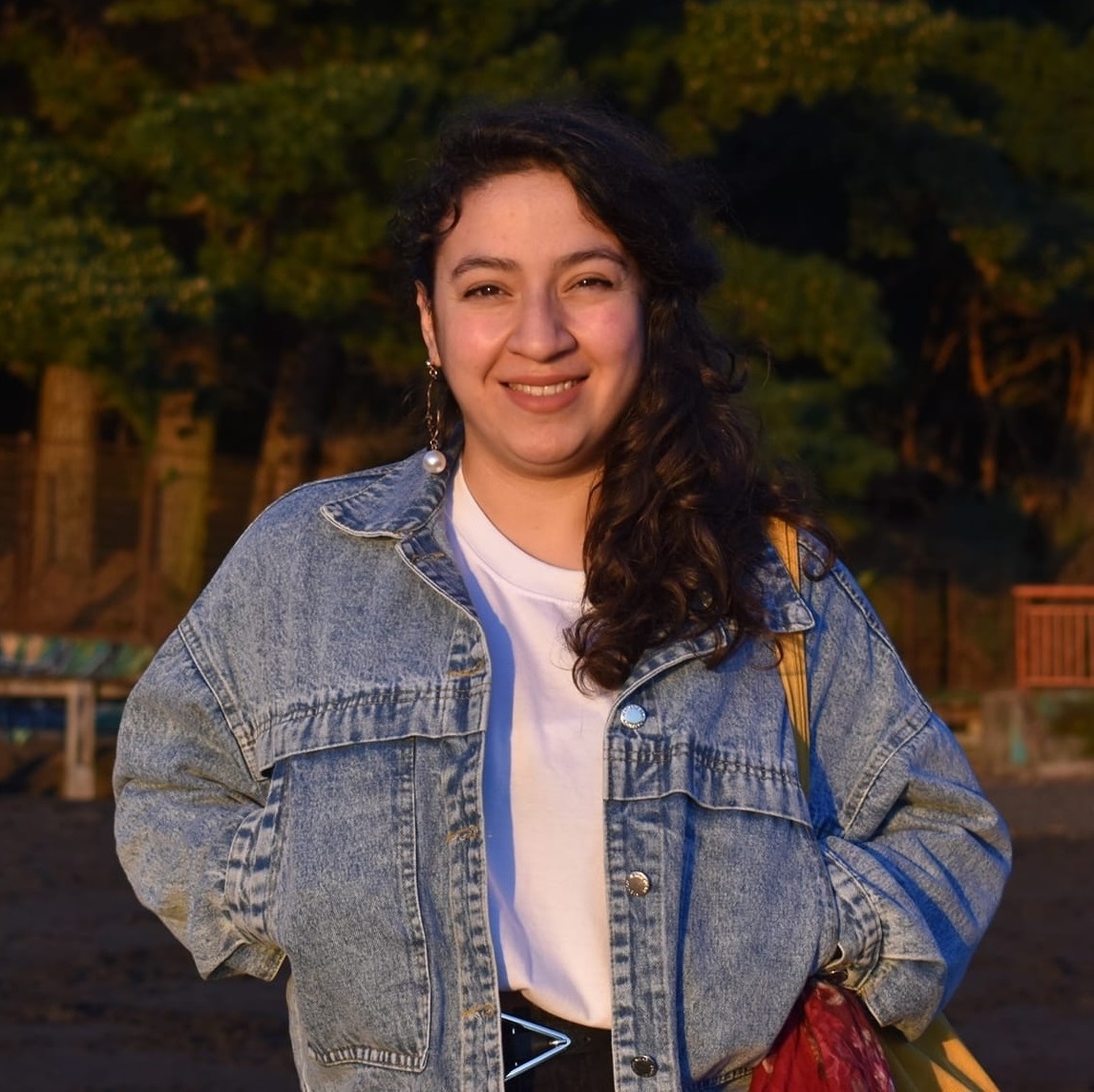 Mesa Ejecutiva - Partido Socialista de Chile